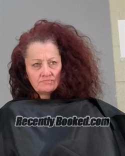 Recent Booking / Mugshot for SARAH ELIZABETH NAZARIAN in Summit County ...