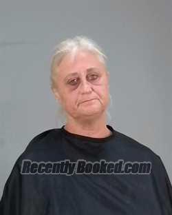 Recent Booking / Mugshot for LISA LIAN HERRON in Summit County, Ohio