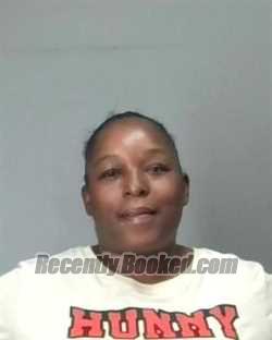 Recent Booking / Mugshot for DANIELLE LEANNE DOWNING in Summit County, Ohio