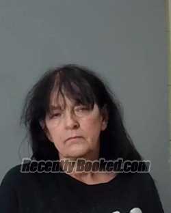 Recent Booking / Mugshot for SANDRA LEE MARCUM in Summit County, Ohio