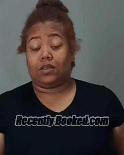 ERICA D RAMSEY Arrest Record & Booking Info – Summit County, Ohio ...
