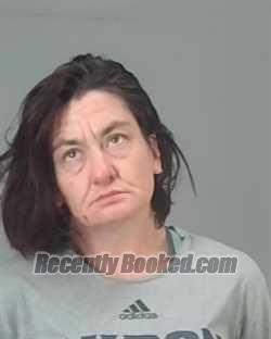 Recent Booking / Mugshot for LISA ANN COOK in Summit County, Ohio