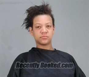 Recent Booking / Mugshot for ASHLEY NICOLE DEEM in Summit County, Ohio