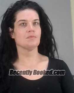 Recent Booking / Mugshot for CARRIE EVELYN DIRENZO-KATZ in Summit ...
