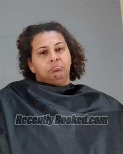Recent Booking / Mugshot for DEANNA SHANTEL WHEELER in Summit County, Ohio