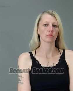 Recent Booking / Mugshot for DEVIN ELISE JAMISON in Summit County, Ohio