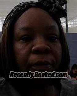 Recent Booking / Mugshot for NIKITA MICHELLE KNOX in Summit County, Ohio