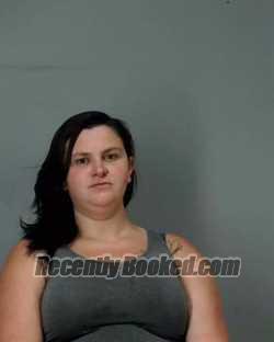 Recent Booking / Mugshot for DANIELLE LEA ANN ALLMAN in Summit County, Ohio