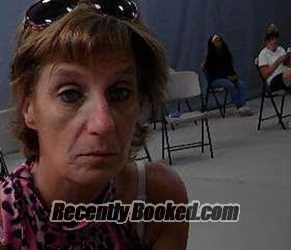 Recent Booking / Mugshot for JULIE LYNN PROCTOR in Summit County, Ohio