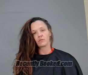 Recent Booking / Mugshot for DARLENE ASHLEY BAUGHMAN in Summit County, Ohio