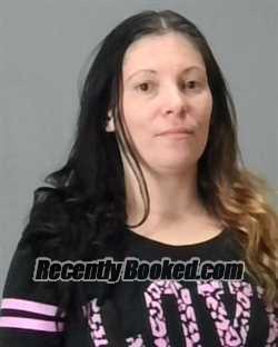 BRITTANY ANNE DUFFEY Arrest Record & Booking Info – Summit County, Ohio ...