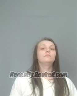 Recent Booking / Mugshot for CELEINA CHEYANNE ROBINSON in Summit County ...