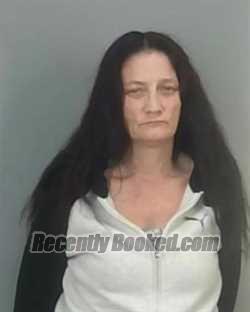 Recent Booking / Mugshot for SHAUNA MARIE SITOSKY in Summit County, Ohio
