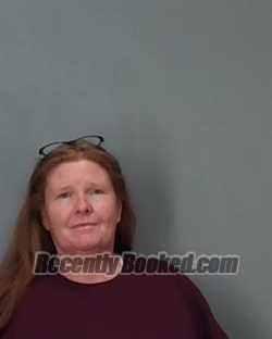 Recent Booking / Mugshot for LISA DAWN KNAPP in Summit County, Ohio