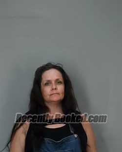Recent Booking / Mugshot for ELIZABETH ROSE BEVERLIN in Summit County, Ohio