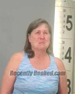 Recent Booking / Mugshot for JANET LYNN HITE in Summit County, Ohio