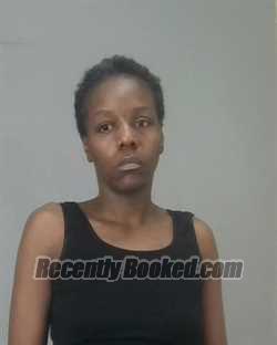 Recent Booking / Mugshot for PATRICIA NICHOLE HOWELL in Summit County, Ohio