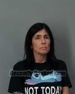 Recent Booking / Mugshot for CHRISTINA M PLUCINSKI-CARONE in Summit ...