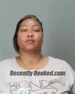 Recent Booking / Mugshot for DESTINY LYNN CLANCY in Summit County, Ohio