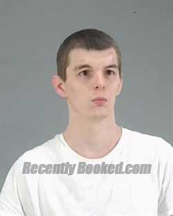 AUSTIN JAMES GREGORY MCELWAIN Arrest Record & Booking Info – Summit ...
