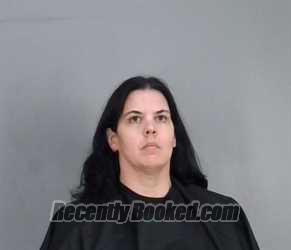 Recent Booking / Mugshot for STEPHANIE LYNN TYREE in Summit County, Ohio