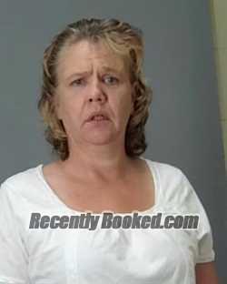 Recent Booking / Mugshot for MICHELLE RENEE HOMAN in Summit County, Ohio
