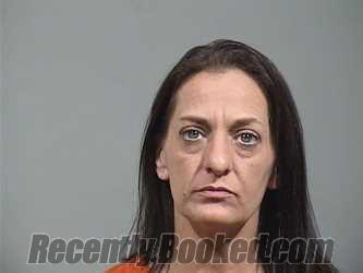 Recent Booking / Mugshot for DENISE ANNE WHITE in Trumbull County, Ohio