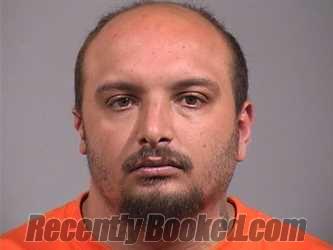 Recent Booking / Mugshot for THEODORE EUGENE MARSH in Trumbull County, Ohio