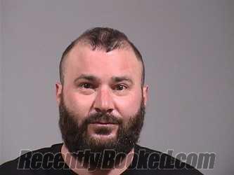 Recent Booking / Mugshot for DAVID ANTHONY LUBICH in Trumbull County, Ohio