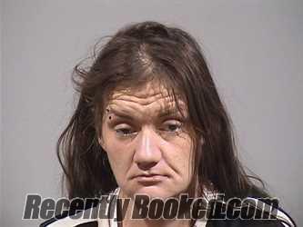 Recent Booking / Mugshot for ANGELA ROSE ROCCO in Trumbull County, Ohio