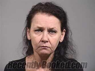 Recent Booking / Mugshot for JILL ANNE HESS in Trumbull County, Ohio