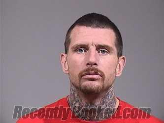 Recent Booking / Mugshot for TROY ROBERT WHITE in Trumbull County, Ohio