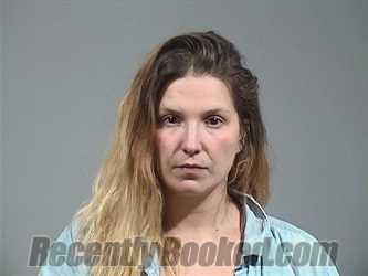 Recent Booking / Mugshot for JESSICA CORRINNE HOVEY in Trumbull County ...