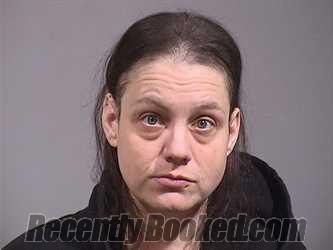 Recent Booking / Mugshot for JESSICA MARIE ISENBERG in Trumbull County ...