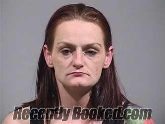 Recent Booking / Mugshot for ELLEN MARION ROBINSON in Trumbull County, Ohio