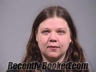 Recent Booking / Mugshot for ALLISON WILSON in Trumbull County, Ohio