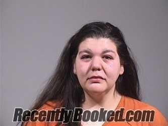 Recent Booking / Mugshot for ASHLEY JUNE WILSON in Trumbull County, Ohio