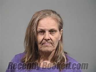 Recent Booking / Mugshot for DEANNA JILL SHANE in Trumbull County, Ohio
