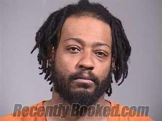 Recent Booking / Mugshot for ANTHONY WADE PERKINS in Trumbull County, Ohio