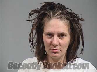 Recent Booking / Mugshot for ABBY LYNN PIERSON in Trumbull County, Ohio