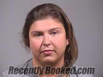 Recent Booking / Mugshot for SARA ANN JAMISON in Trumbull County, Ohio