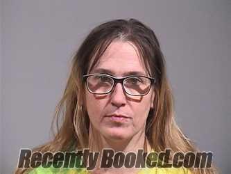 Recent Booking / Mugshot for CRYSTAL MICHELLE WEBB in Trumbull County, Ohio