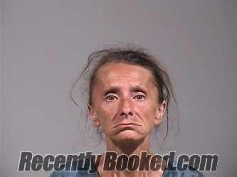 Recent Booking / Mugshot for JAMIE LYNN NICHOLSON in Trumbull County, Ohio