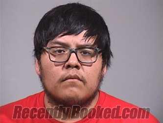 Recent Booking / Mugshot for DYLAN ELI LITTLE - REIN in Trumbull County ...