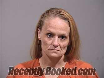 Recent Booking / Mugshot for CHRISTINA NICOLE LONG in Trumbull County, Ohio