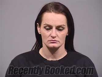 ELLEN MARION ROBINSON Arrest Record & Booking Info – Trumbull County ...
