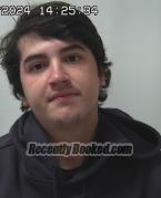 Recent Booking / Mugshot for LOGAN EDWARD BOWSHER in Union County, Ohio