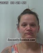 Recent Booking / Mugshot for ERIKA ANN FOWLER in Union County, Ohio