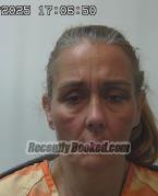 Recent Booking / Mugshot for MICHELLE LEE MEIGHEN in Union County, Ohio