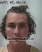 Recent Booking / Mugshot for DAVID F DAY III in Union County, Ohio